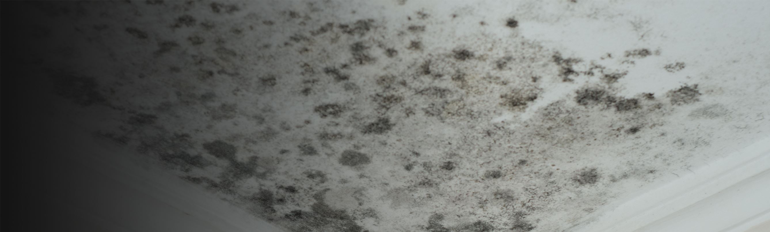Residential Mold Remediation In Southlake | Restoration 1 of Southlake Residential Mold Remediation In Southlake | Restoration 1 of Southlake